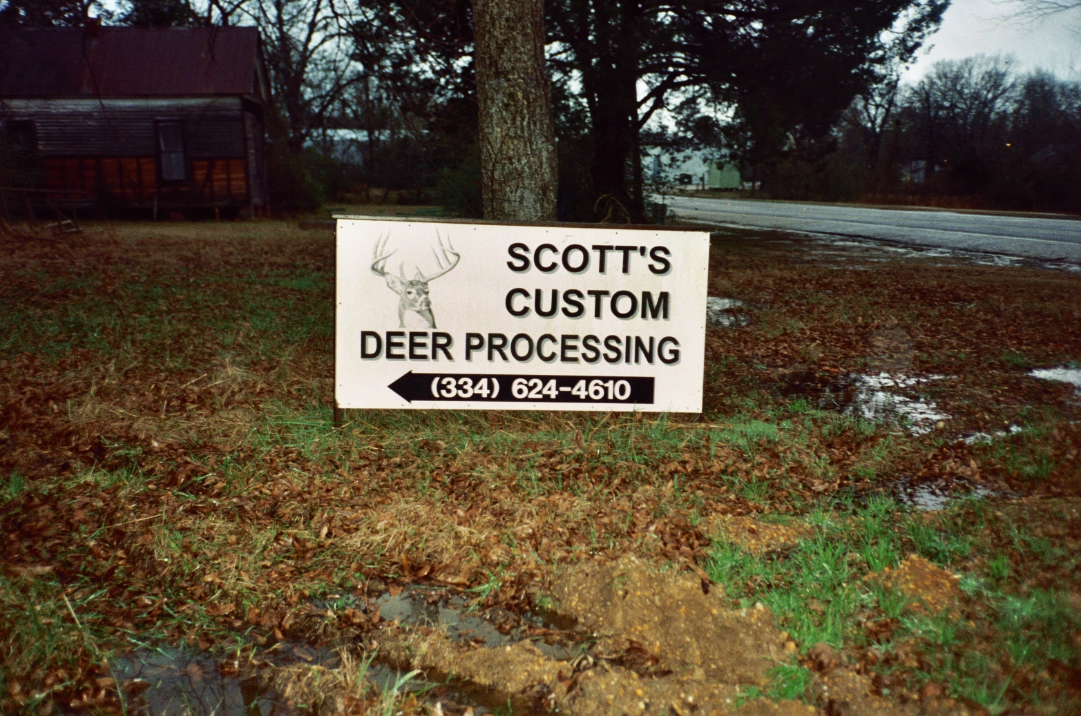 Scott's Custom Deer Processing sign · Black Belt 100 Lenses